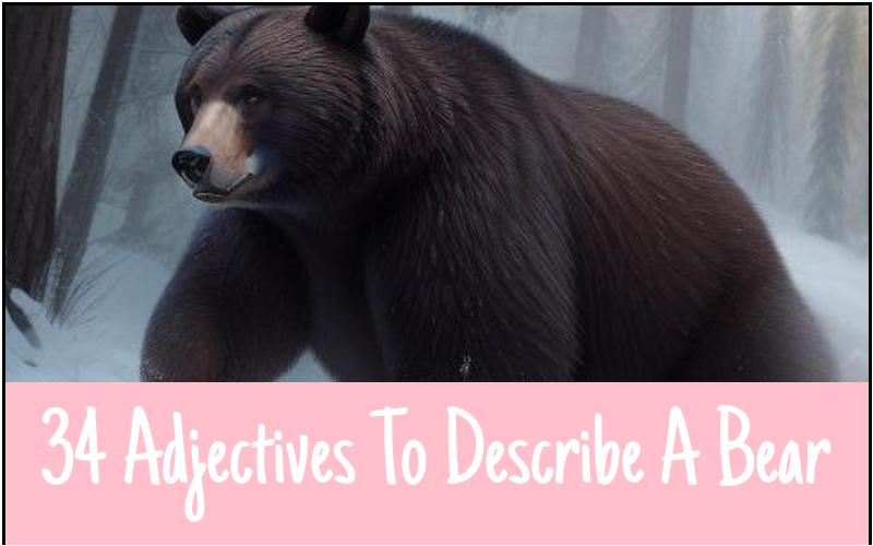 34 Adjectives To Describe A Bear - Vivid Writing Tips