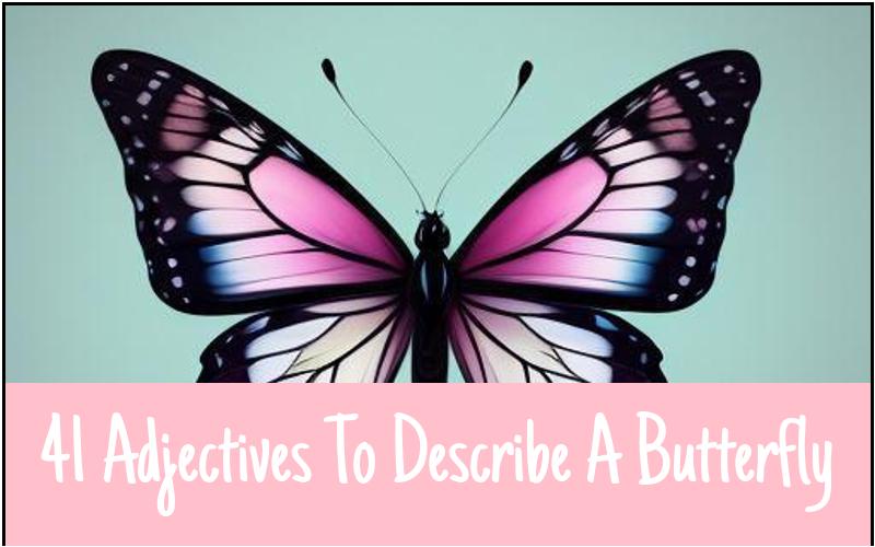 41 Adjectives To Describe A Butterfly - Vivid Writing Tips