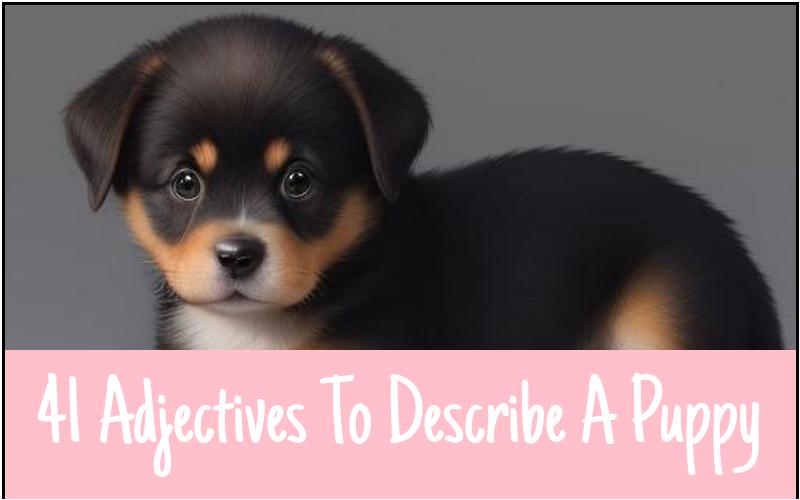 41 Adjectives To Describe A Puppy - Vivid Writing Tips