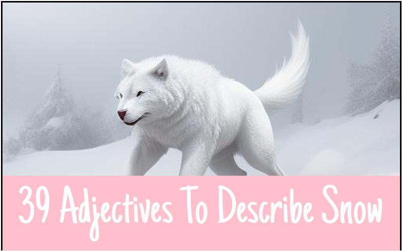 39 Adjectives To Describe Snow - Vivid Writing Tips