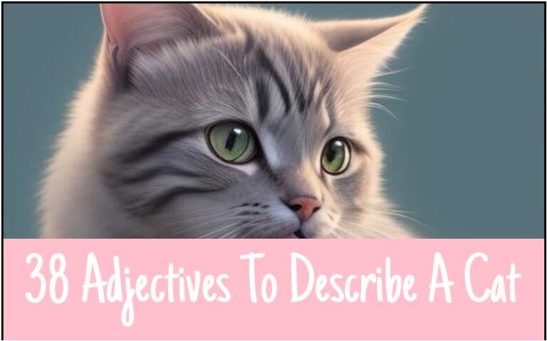 40 Adjectives To Describe Wind - Vivid Writing Tips