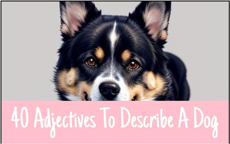 38 Adjectives To Describe Blue - Vivid Writing Tips