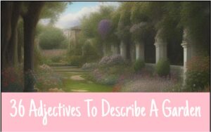 36 Adjectives To Describe A Garden - Vivid Writing Tips
