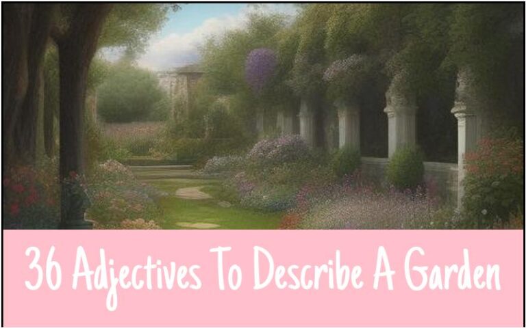 36 Adjectives To Describe A Garden - Vivid Writing Tips
