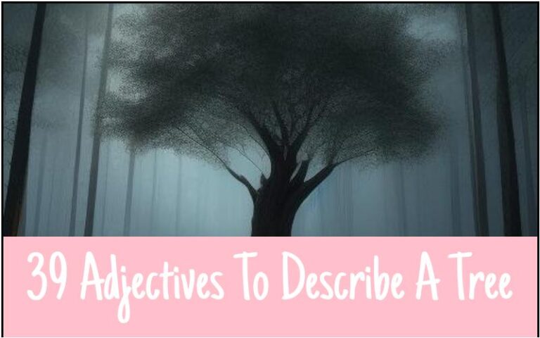 38 Adjectives To Describe A Picture - Vivid Writing Tips