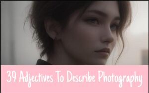 39 Adjectives To Describe Photography - Vivid Writing Tips