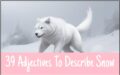 39 Adjectives To Describe Snow - Vivid Writing Tips