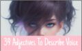 39 Adjectives To Describe Voice - Vivid Writing Tips